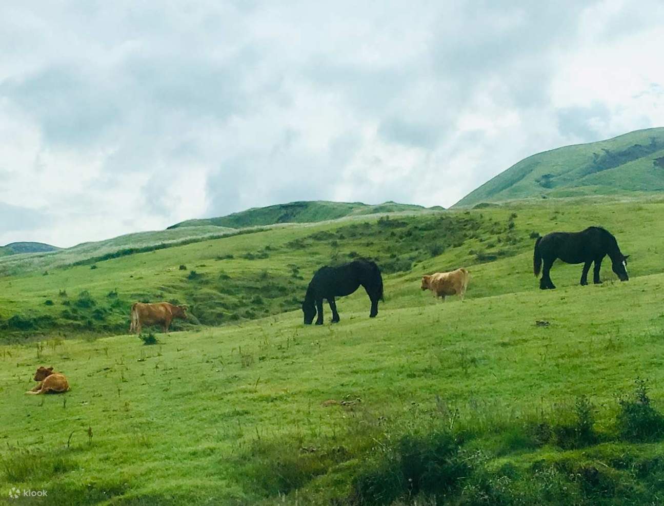 [ประสบการณ์รถไฟ Aso Boy/ประสบการณ์ล่องเรือทาคาชิโฮะ] หุบเขาทาคาชิโฮะ ...